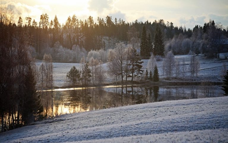 Why Move To Sweden? 26 Reasons From Actual Expats