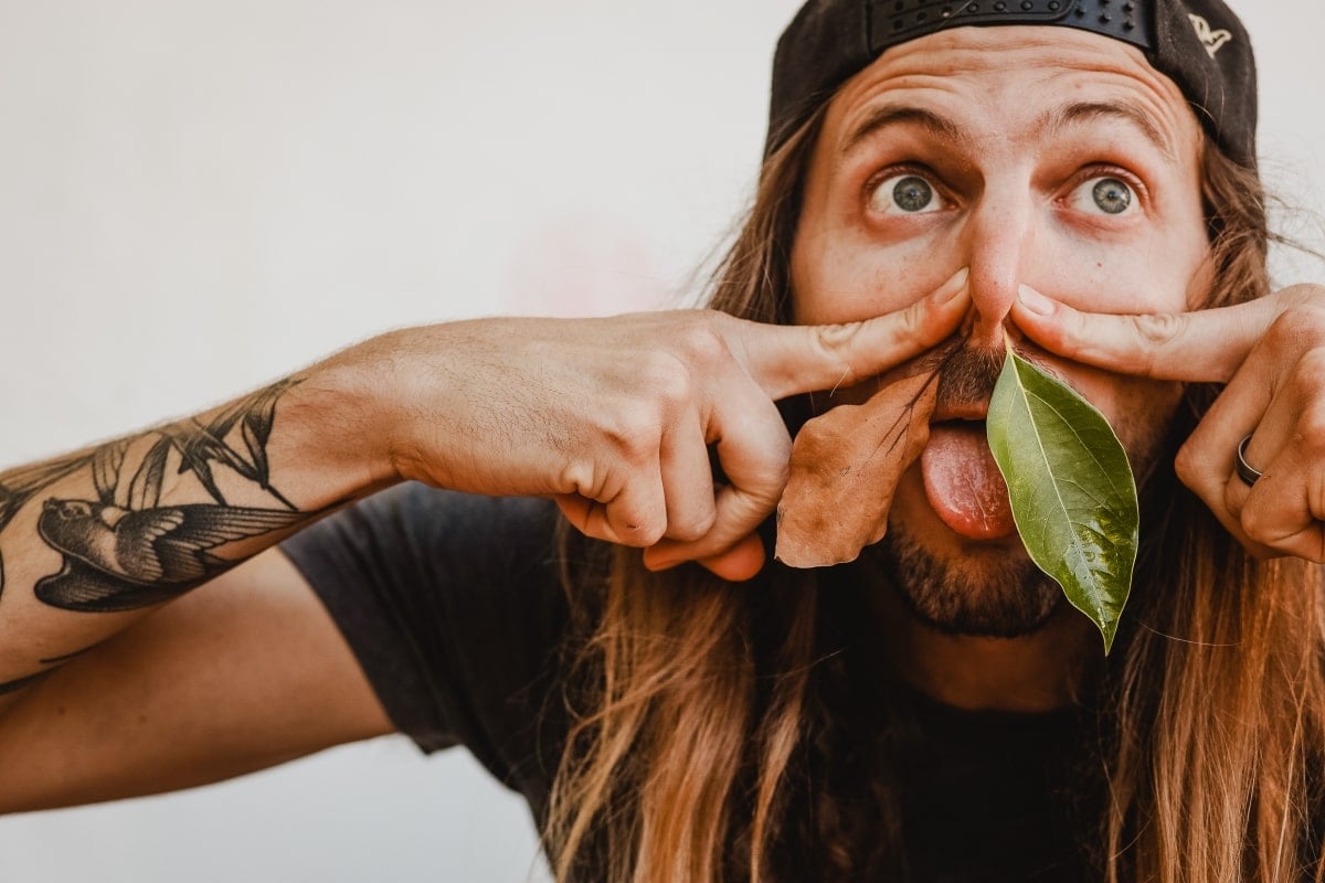 Swedish Insults & Swear Words: The Ultimate Guide