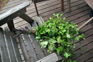 Finnish vs. Swedish Sauna: 5 Differences According to Finns in Sweden