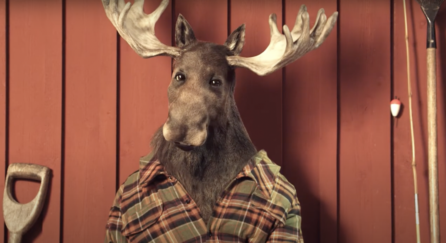 National & Provincial Animals of Sweden (Complete Guide)